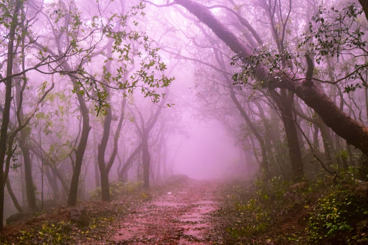 Places to Visit in Matheran : Popular Places to Visit Near Matheran ...