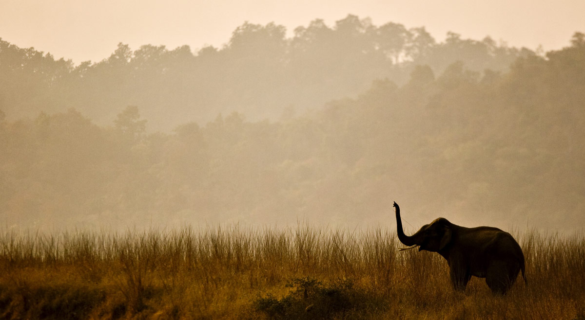 Places to Visit in Kausani : Popular Places to Visit Near Kausani ...