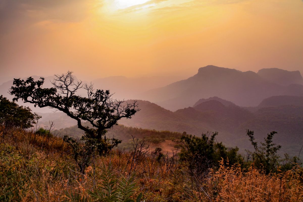 Pachmarhi | Best Time to Visit | Top Things to Do | Book Your Trip ...