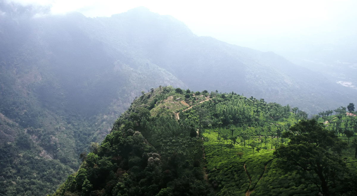 Coonoor | Best Time to Visit | Top Things to Do | Book Your Trip ...