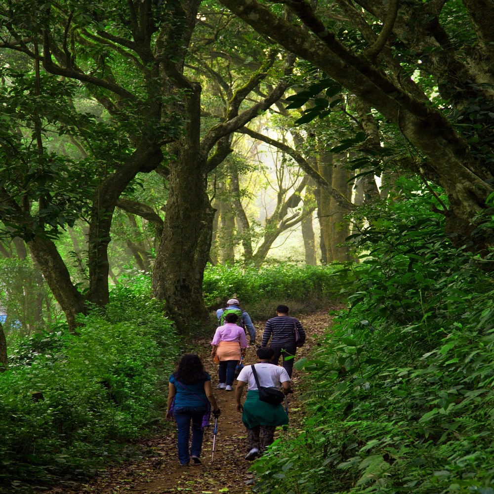 31 Places to Visit in Coorg| Coorg Tourist Places & Nearby Spots ...