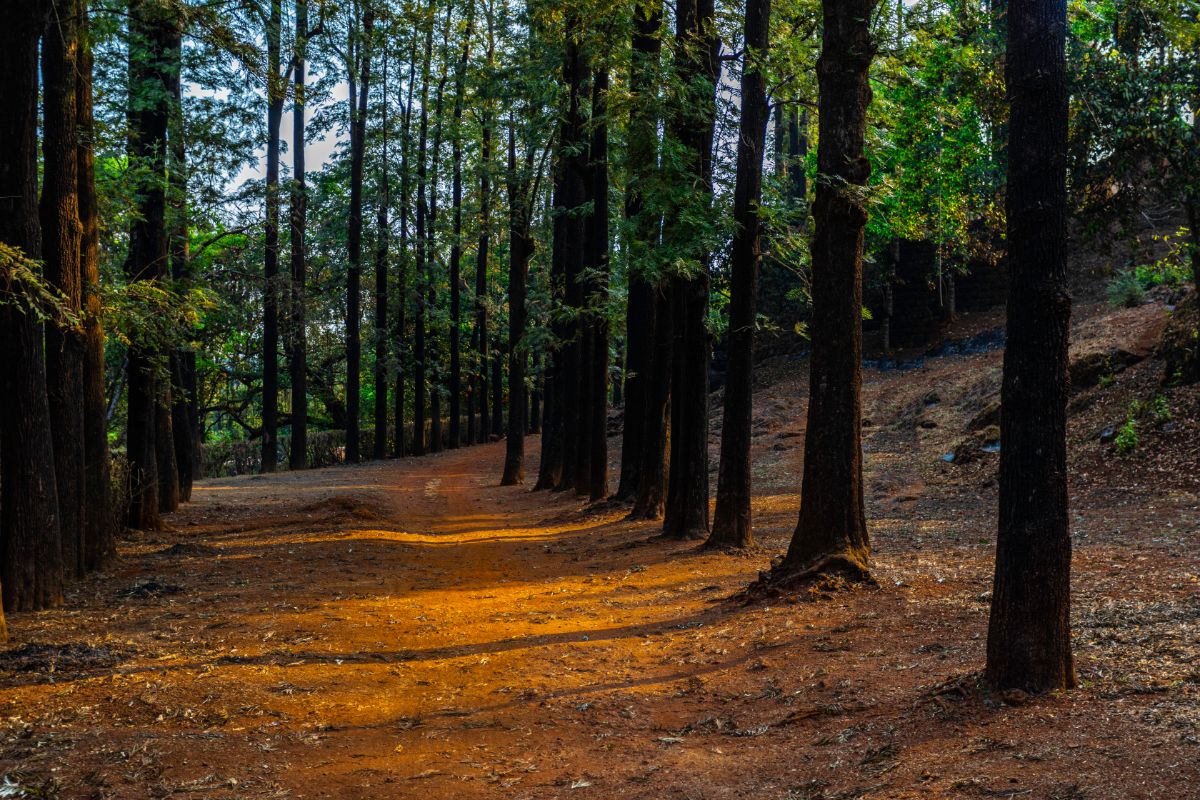 Places to Visit in Panchgani : Popular Places to Visit Near Panchgani ...