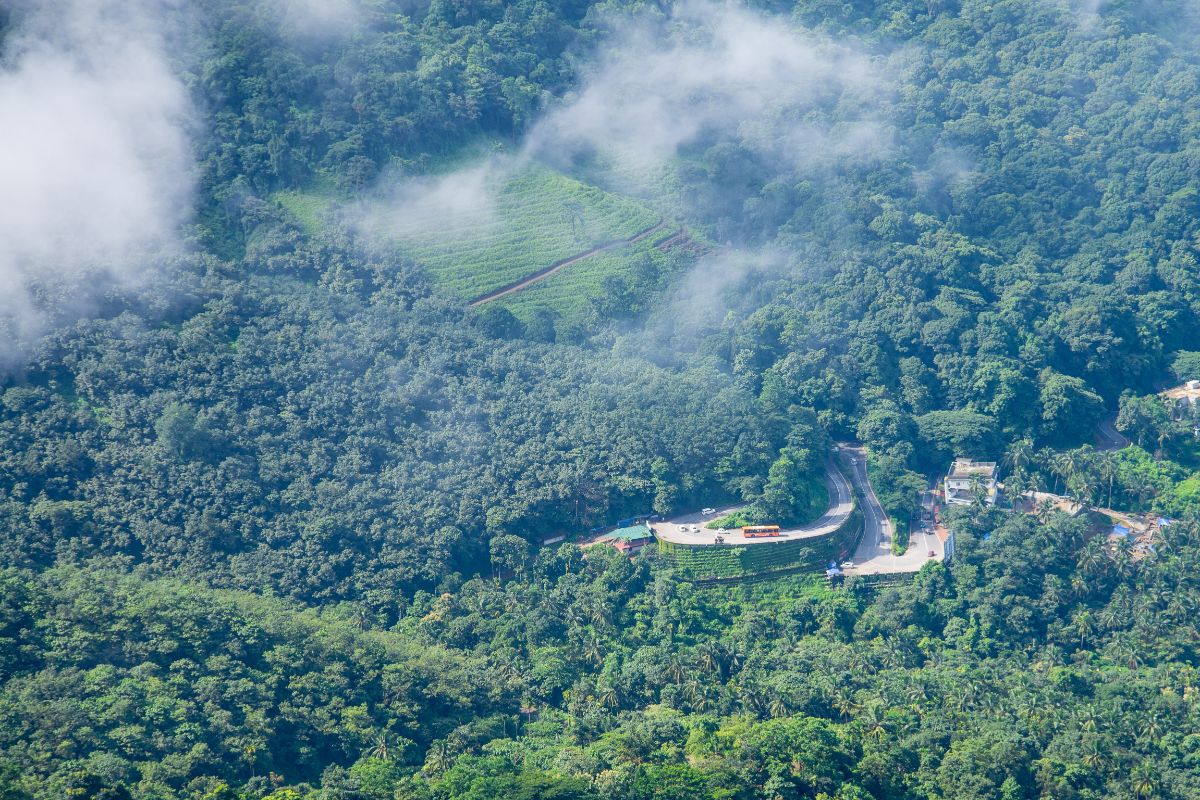 Wayanad | Best Time to Visit | Top Things to Do | Book Your Trip ...