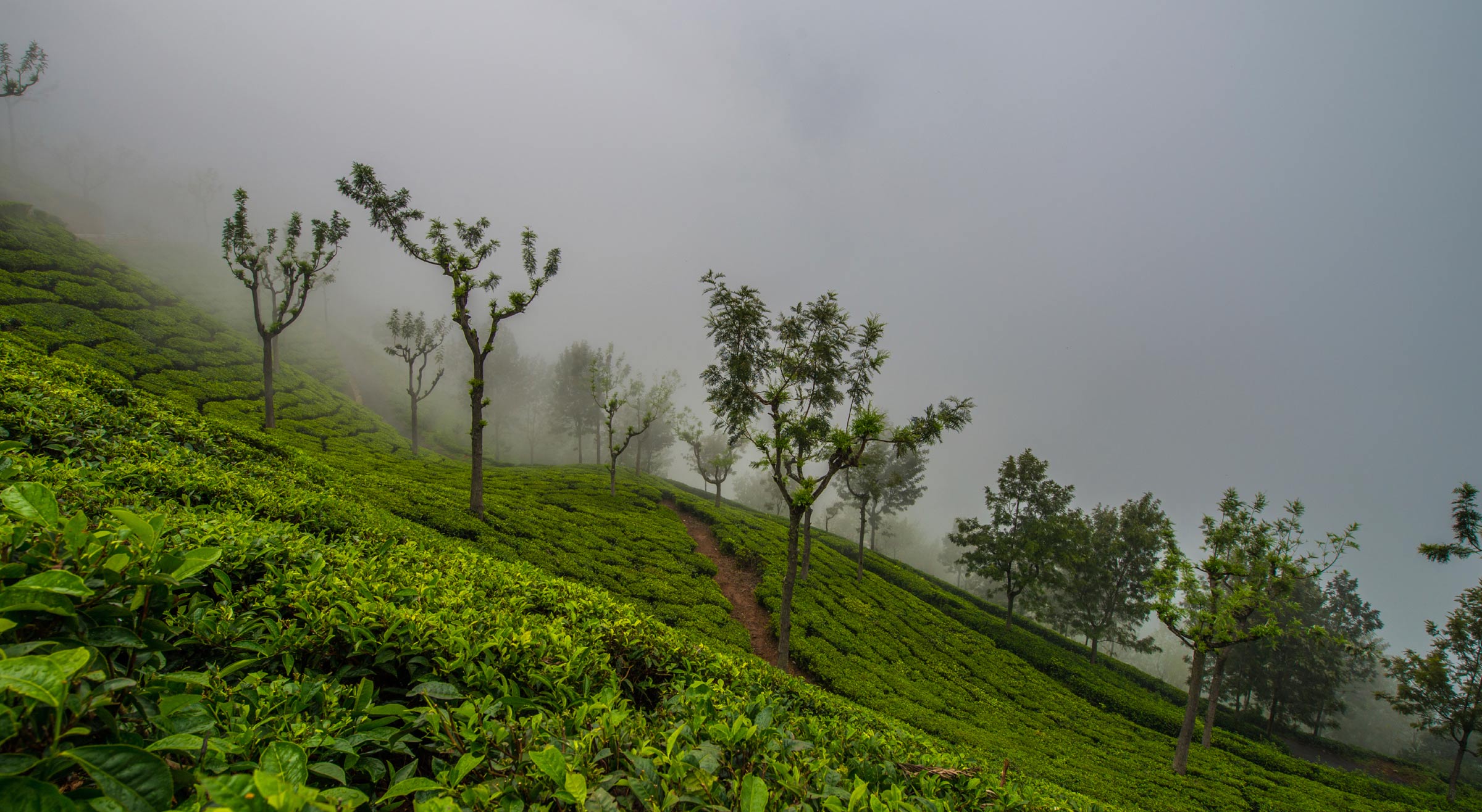 Ooty Tourism, Tourist Places Ooty, Ooty Tourism Packages Best Deals ...