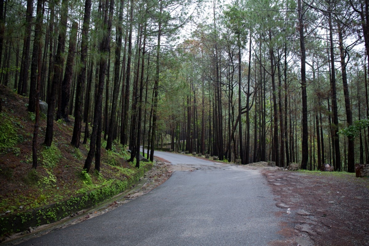 Lansdowne | Best Time to Visit | Top Things to Do | Book Your Trip ...