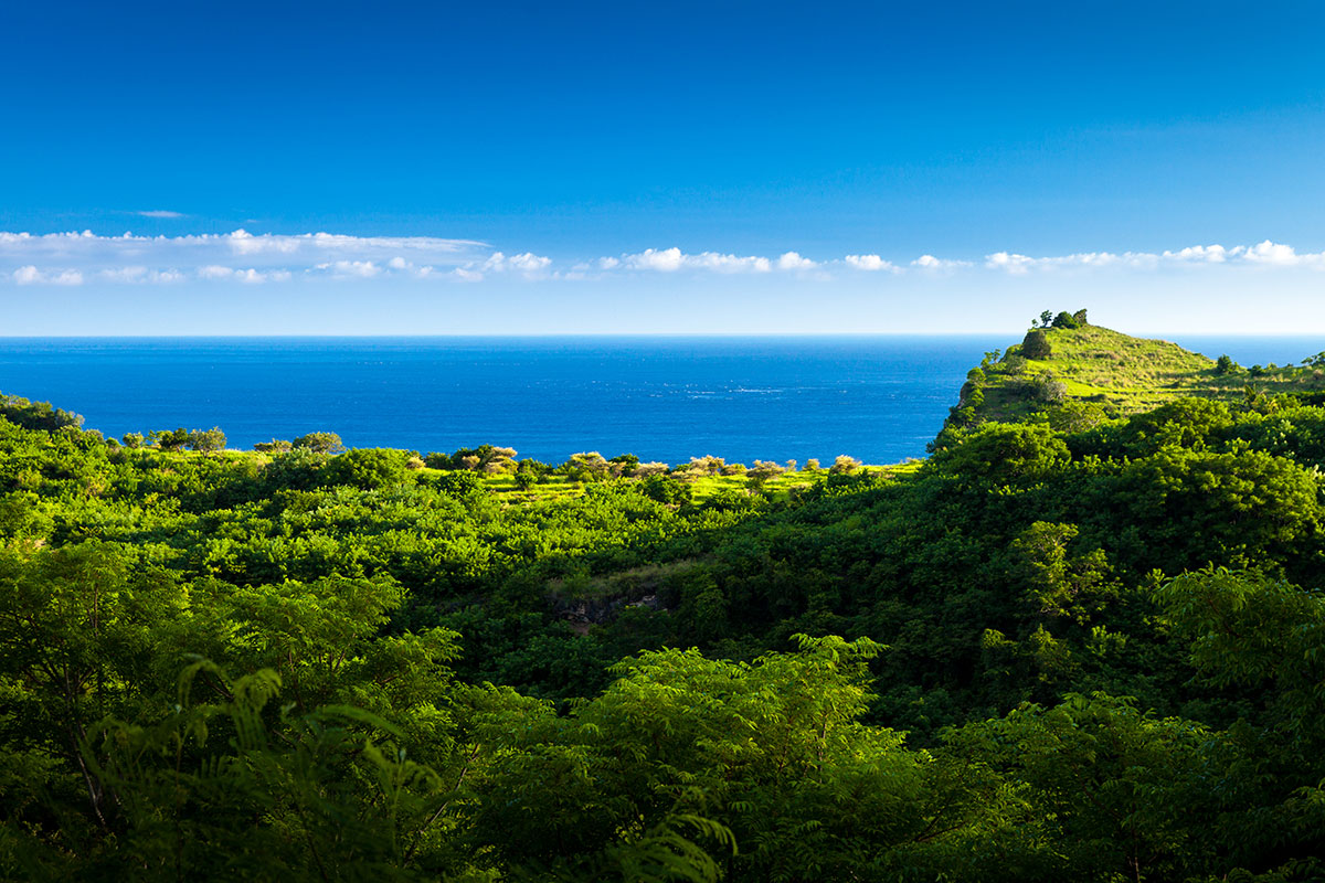 40 Places to Visit in Bali| Bali Tourist Places & Nearby Spots| MakeMyTrip