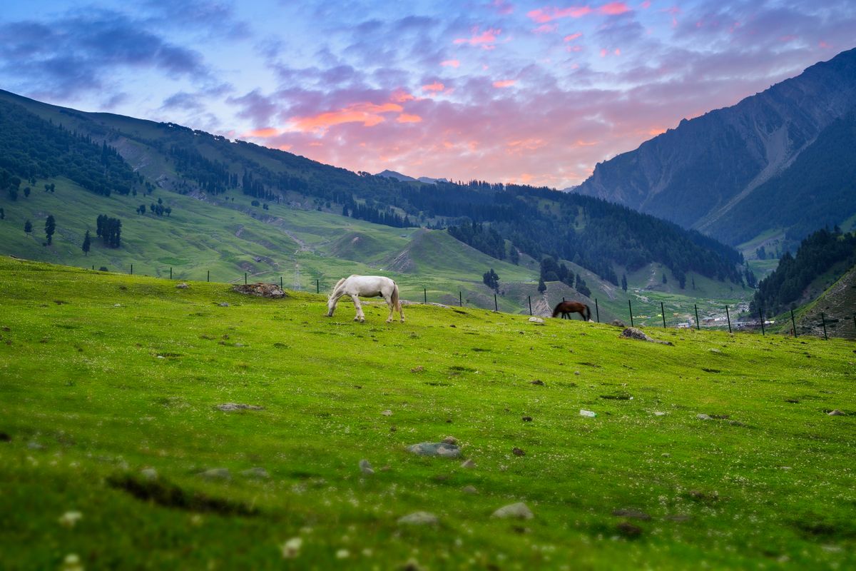 18 Places to Visit in Pahalgam - Tourist Places & Nearby Places in ...