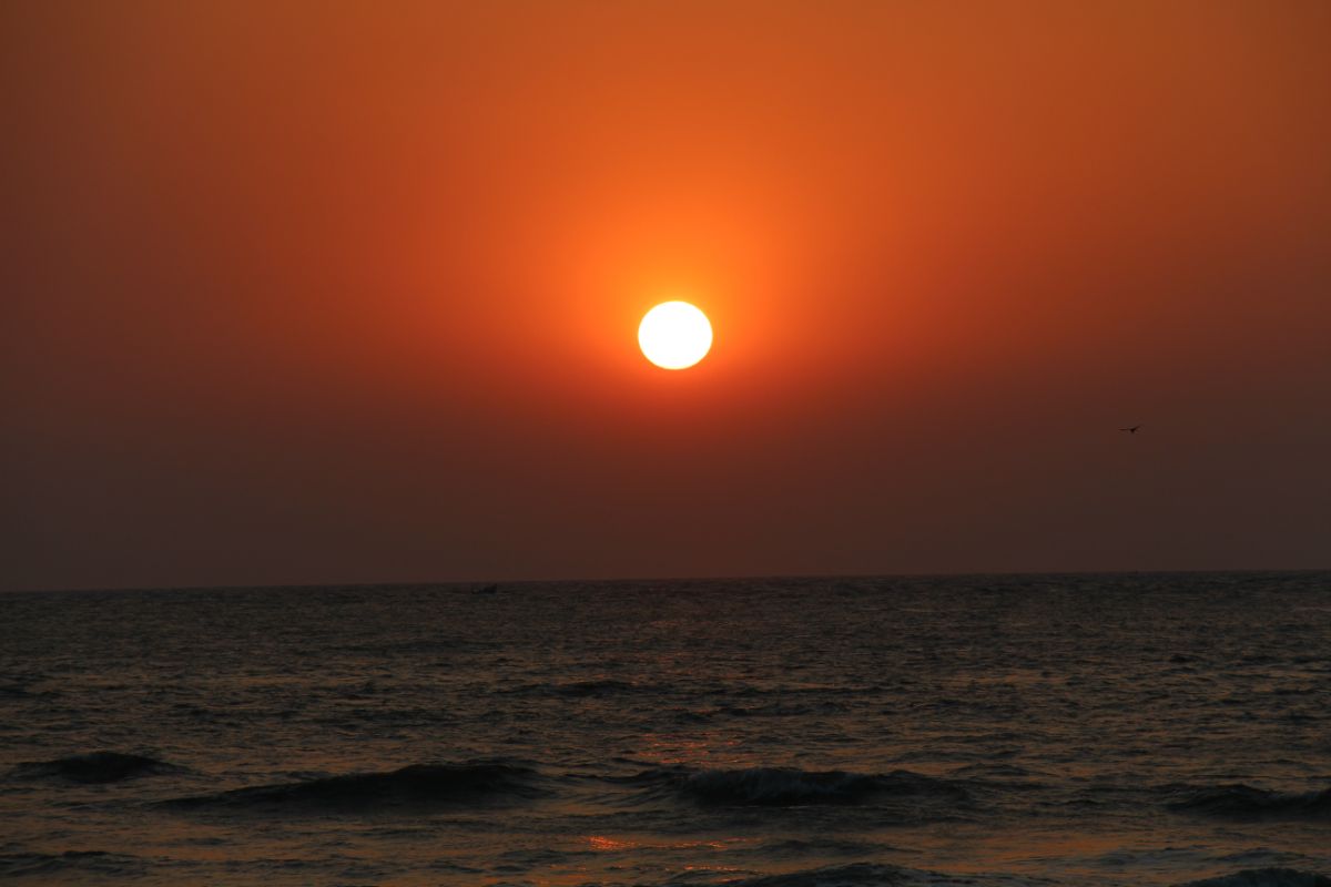 Kozhikode (Calicut) | Best Time to Visit | Top Things to Do | Book Your ...