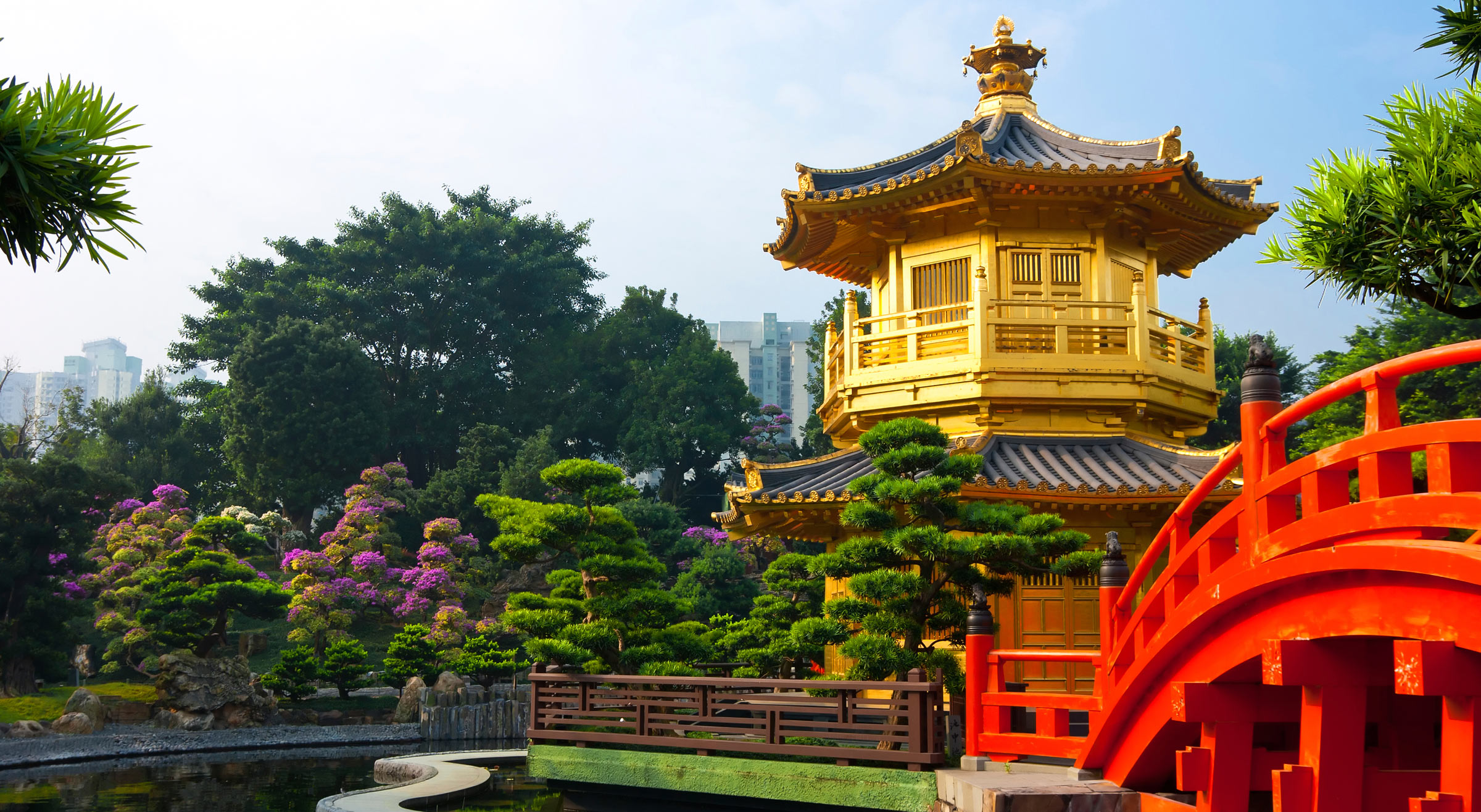 Hong Kong | Best Time to Visit | Top Things to Do | Book Your Trip ...