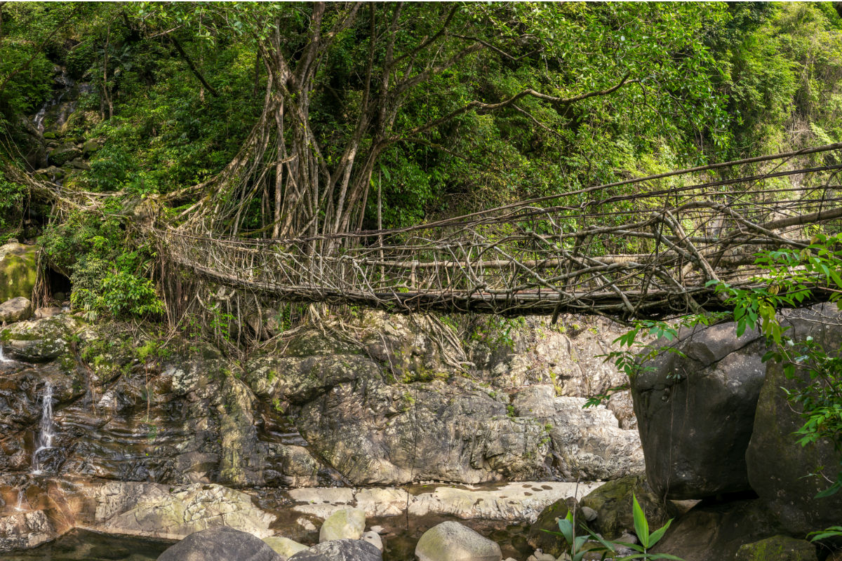 Shillong | Best Time to Visit | Top Things to Do | Book Your Trip ...